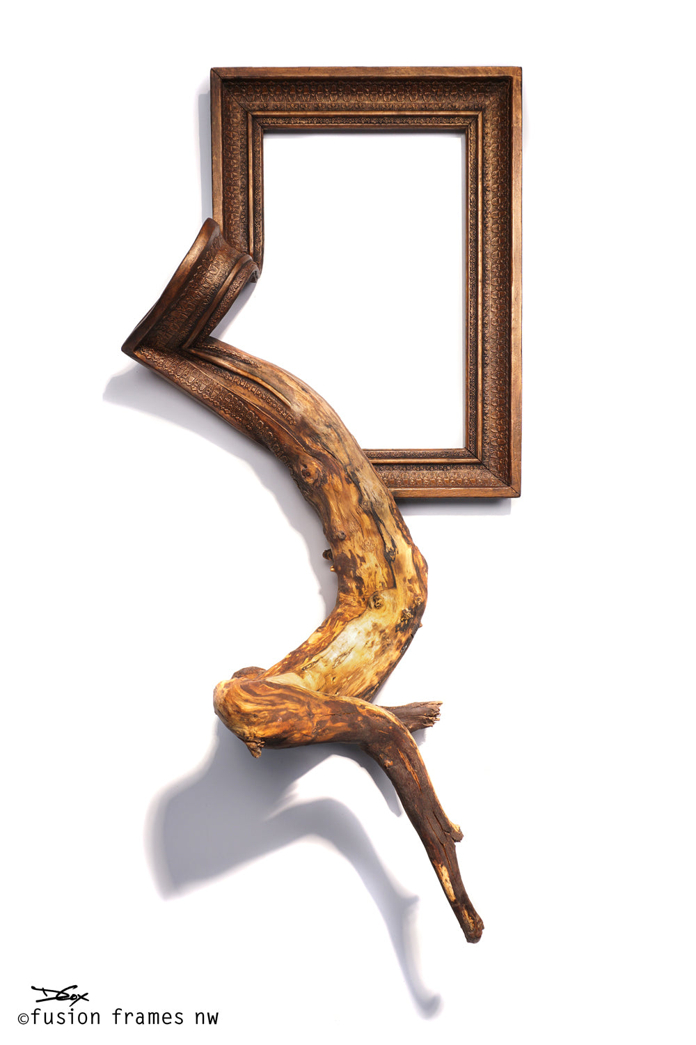 Darryl Cox Jr dba Fusion Frames NW - Fusion Frame Sculptures